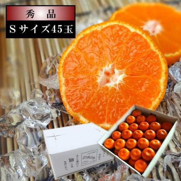 ハウスみかん 温室みかん お中元 甘い 送料無料 ギフト 高級 贈答 農家直送 新鮮 濃厚 (15) 蜜ツ星 みつぼし 白のギフト箱 Ｓサイズ 秀品 ４５玉