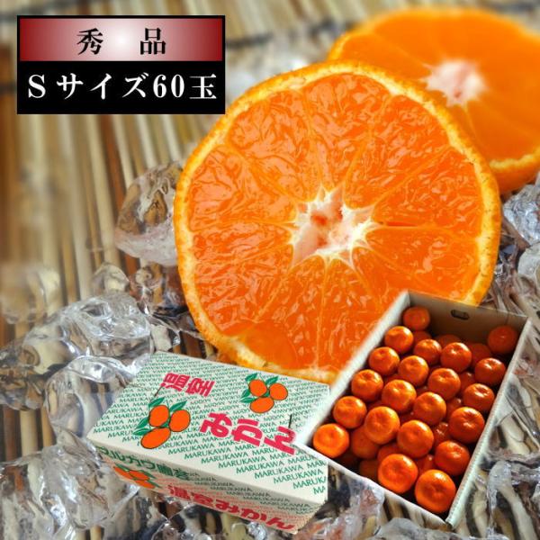 ハウスみかん 温室みかん お中元 甘い 送料無料 ギフト 高級 贈答 農家直送 新鮮 濃厚 (20) 蜜ツ星 みつぼし レギュラー箱 Ｓサイズ 秀品 ６０玉