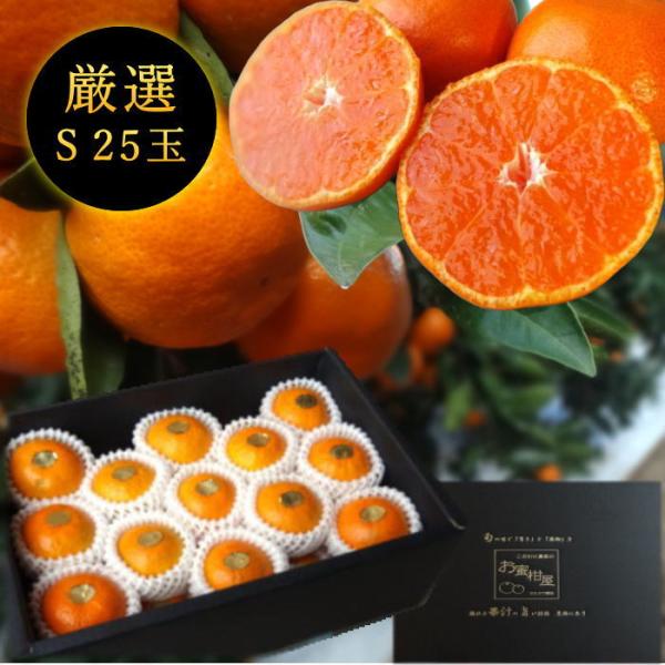 みかん 完熟 マルチ 早生 お歳暮 高糖度 甘い 送料無料 ギフト 高級 農家直送 新鮮 濃厚 (104) 蜜ツ丸 黒の化粧箱(大) Ｓサイズ 厳選 プレミアム 25玉入
