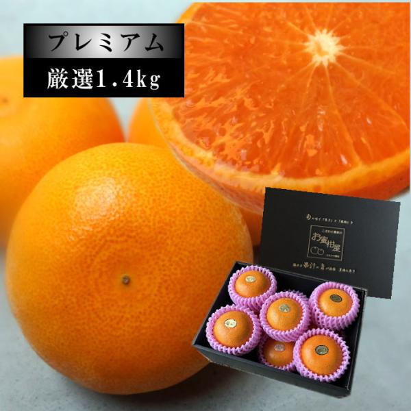 みかん せとか 大トロ 高糖度 甘い 送料無料 家庭用 高級 農家直送 濃厚 (401) 木熟せとか 黒の化粧箱 厳選 プレミアム サイズおまかせ 約1.4kg入