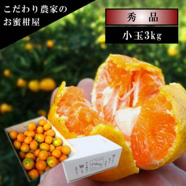 みかん 極早生みかん ゆら早生 高糖度 甘い 送料無料 ギフト 高級 贈答 農家直送 新鮮 濃厚 (216) ゆらりん 白のギフト箱 小玉サイズ 秀品 約3kg入