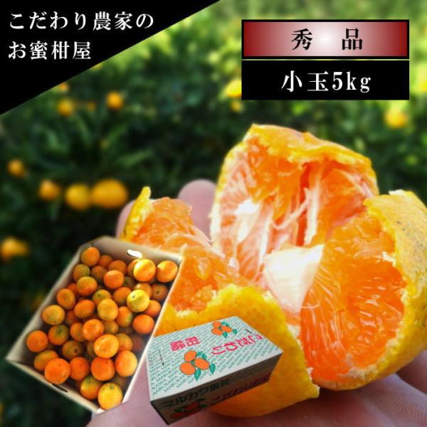みかん 極早生みかん ゆら早生 高糖度 甘い 送料無料 ギフト 高級 贈答 農家直送 新鮮 濃厚 (219) ゆらりん レギュラー箱 小玉サイズ 秀品 約5kg入