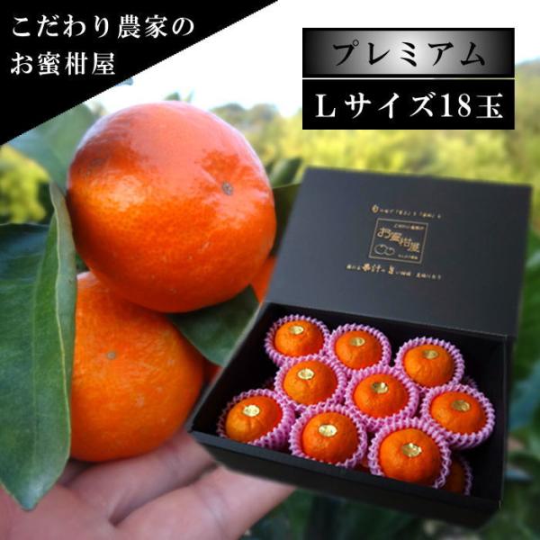 夕焼け姫 みかん 完熟 マルチ お歳暮 高糖度 甘い 送料無料 ギフト 高級 農家直送 新鮮 愛知 (706) 夕焼け姫 黒の化粧箱（大）  Ｌサイズ 厳選 プレミアム 18玉入