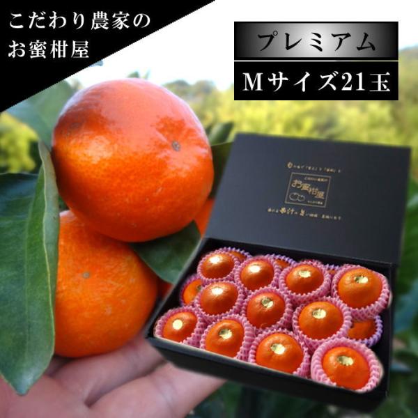 夕焼け姫 みかん 完熟 マルチ お歳暮 高糖度 甘い 送料無料 ギフト 高級 農家直送 新鮮 愛知 (705) 夕焼け姫 黒の化粧箱(大) Ｍサイズ 厳選 プレミアム 21玉入
