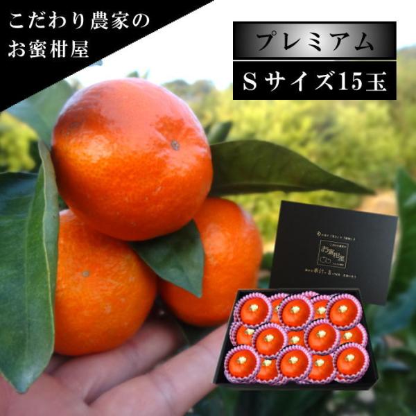 夕焼け姫 みかん 完熟 マルチ お歳暮 高糖度 甘い 送料無料 ギフト 高級 農家直送 新鮮 愛知 (701) 夕焼け姫 黒の化粧箱（中） Ｓサイズ 厳選 プレミアム 15玉入