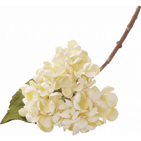 消臭・抗菌・自浄効果のある光触媒加工を国内で行っているハイクオリティなフェイクグリーンです。本物とは違い害虫が発生することはありませんし、綺麗な見た目を保つ為の心配がなく、水やりもいらないので手入れが簡単で長持ちするのが特徴です。玄関、リビ...