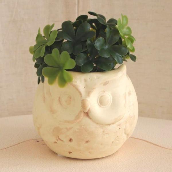 消臭効果・抗菌効果のある光触媒加工がされている人工観葉植物（造花）です。葉の一枚一枚まで人の手によって、国内で光触媒加工がされています。水やりがいらなく手入れが簡単で長持ちするので、お店の開店祝いや、店舗用の観葉植物に。またご家庭の玄関、リ...