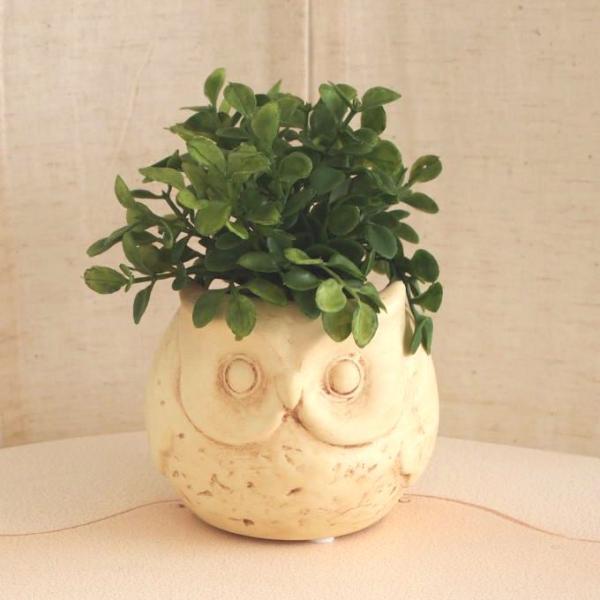 消臭効果・抗菌効果のある光触媒加工がされている人工観葉植物（造花）です。葉の一枚一枚まで人の手によって、国内で光触媒加工がされています。水やりがいらなく手入れが簡単で長持ちするので、お店の開店祝いや、店舗用の観葉植物に。またご家庭の玄関、リ...