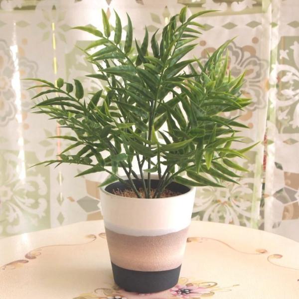 消臭・自浄・抗菌効果のある光触媒加工がされている人工観葉植物（造花）です。葉一枚一枚まで人の手によって光触媒加工がされています。水やりもいらなく手入れが簡単で長持ちするため、お店の開店祝い・店舗用の観葉植物に使われることが多いタイプです。■...