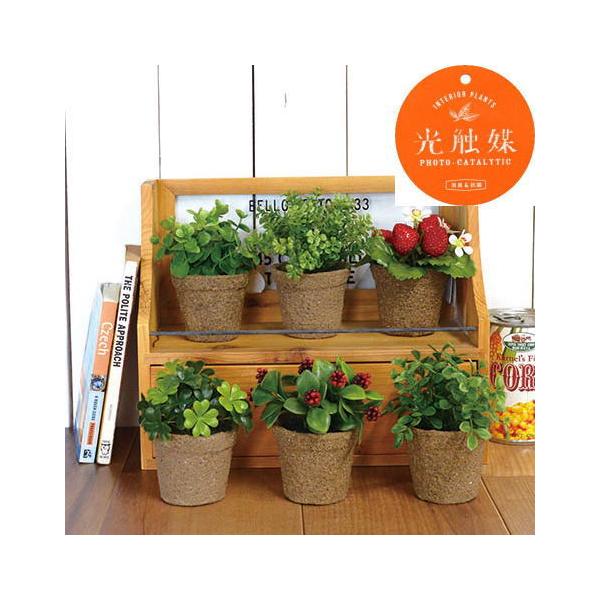 消臭・抗菌・自浄効果のある光触媒加工がされている人工観葉植物（造花）です。葉一枚一枚まで人の手によって光触媒加工がされています。うつわはペーパーポットです。水やりもいらなく手入れが簡単で長持ちするのが特徴です。玄関、リビング、キッチンや臭い...