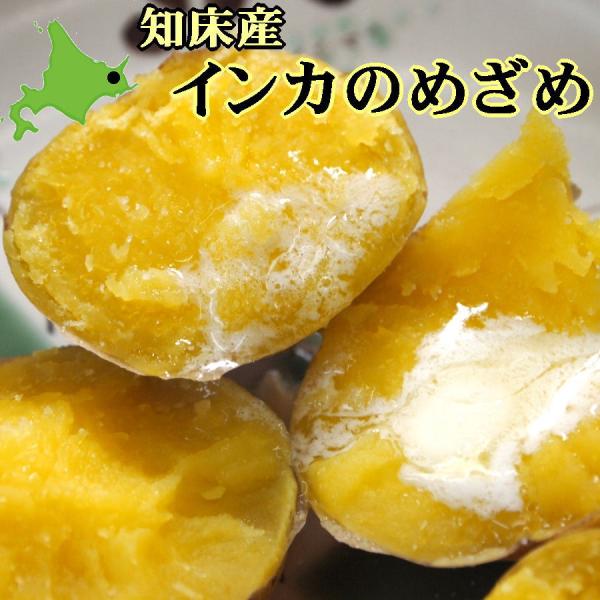 ■商品について■2025年秋から貯蔵庫で寝かせていた越冬じゃがいもを北海道から産地直送します！知床連山の麓、中標津産の「インカの目覚め」です。キメが細かく、でんぷん質が豊富なためとても甘い希少種のじゃがいもです。サイズは不揃いになります（小...