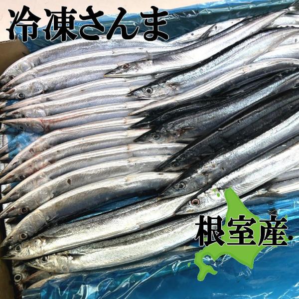 ■商品について■根室沖で秋に獲れたとろサンマを鮮度を保つ為、活きのいいうちに急速冷凍しました。訳あり・アウトレット品ではありません。徹底した鮮度管理で美味しさをギュッと閉じ込めて新鮮なまま皆様にお届けします！■配送について■クール便（冷凍）...