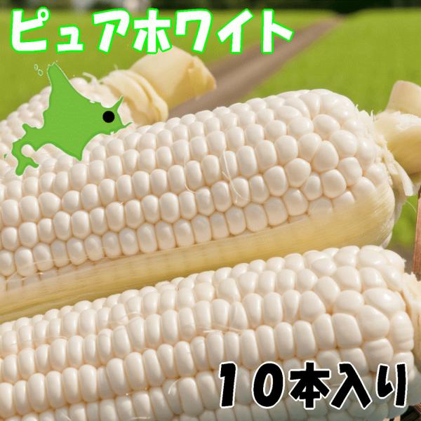 ■商品について■北海道知床産ピュアホワイトです。サイズはＬサイズ主体になります。昼と夜の温度差が大きいことと、朝とり新鮮な状態でお届けしますので、フルーツのような甘さが堪能できます。日本で最も東で採れた生でも食べられるトウモロコシ、ピュアホ...