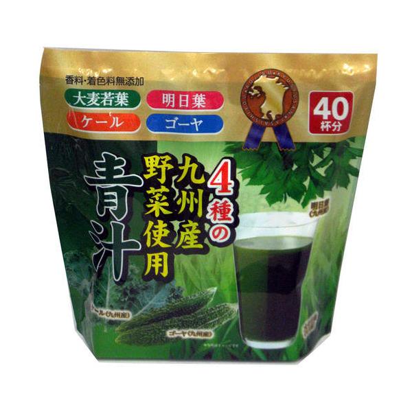 ４種の九州産野菜使用青汁◆新日配薬品 健康食品 サプリメント 国産 大麦若葉 ケール ゴーヤ 明日葉 野菜不足 食事バランス 食物繊維 飲みやすい スティック 小分け 無添加 ドリンク 飲料 ポイント消費爆買