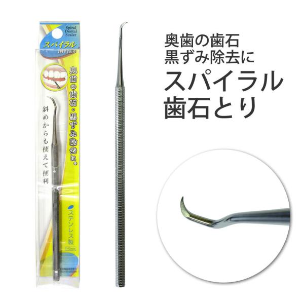 スパイラル歯石とり ◆ デンタルケア 一般医療機器 歯間 歯垢 黒ずみ オーラルケア 虫歯予防 口内ケア 口内クリーニング 歯科 歯医者さんが使う 食べカス 詰まり 除去爆買