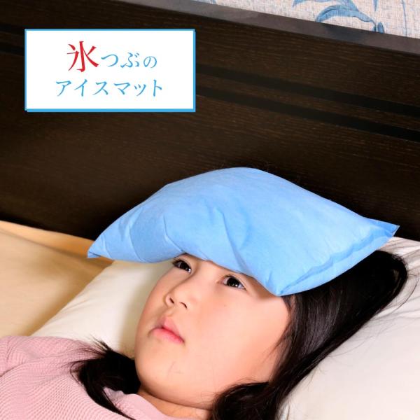 【商品名/型番】氷つぶのアイスマット / 4582469911678＊今までの保冷剤にはなかった乾燥剤を凍らせる保冷剤です。特徴は、ビーズクッションのような肌感、結露がないのでジメジメしません。とくに冷気が氷を直接当てたようなきつさがないた...