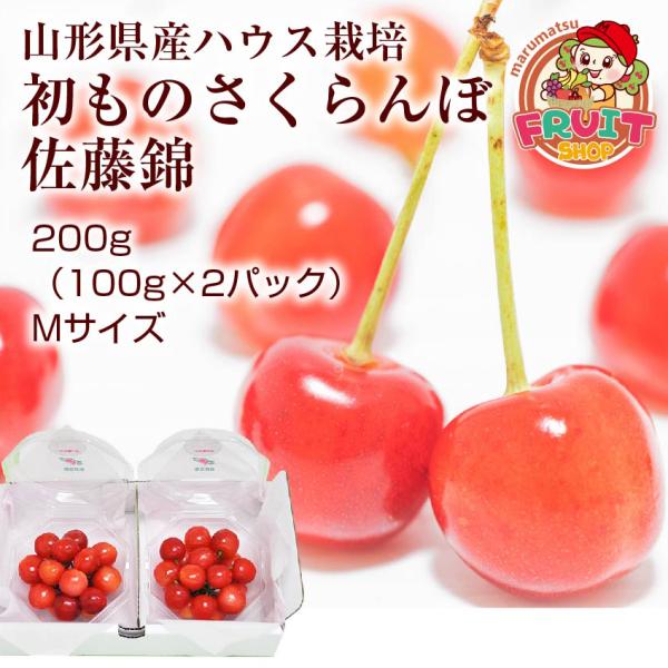 ●産地：山形県●内容量：200g(100g×2)　ダイヤパック詰/化粧箱●等級：秀Mサイズ(ハウス栽培)●送料：無料(沖縄・一部離島は受付休止中です)●発送：5月中旬頃から(〜5月末頃まで)ご注文順に発送。期日指定不可●注意点：他にご注文の...