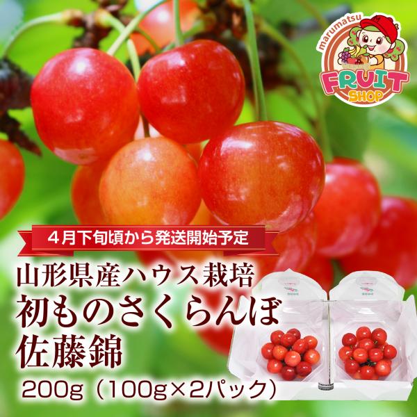 ●産地：山形県●内容量：200g(100g×2)　ダイヤパック詰/化粧箱●等級：秀M-Lサイズ(ハウス栽培)●送料：無料（沖縄、一部離島は受付休止中です）●発送：5月中旬頃からご注文順に発送。期日指定不可●注意点：他にご注文の商品との同梱は...