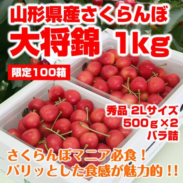 佐藤錦より大玉で爽やかな酸味と濃厚な甘みのバランスがあるのが特徴です。さらにパリっと硬めの果肉も厚く、大玉で弾けるような食感で食べ応えのある晩生のさくらんぼです。●産地：山形県●品種：大将錦(さくらんぼ)●等級：秀 Ｌ〜2Ｌ玉●内容：1kg...