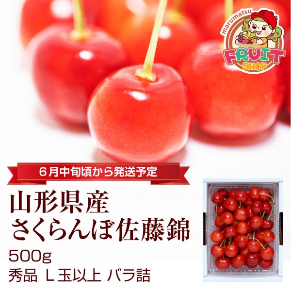 色着き、食べ応え共に満足いただける【秀品/Ｌ玉サイズ】をお届け♪日本一のさくらんぼの生産地山形県で採れたさくらんぼ佐藤錦。●産地：山形県●内容量：500g（500g×1）/化粧箱入り●等級：秀　L以上●送料：無料　(冷蔵便でのお届け)　沖縄...