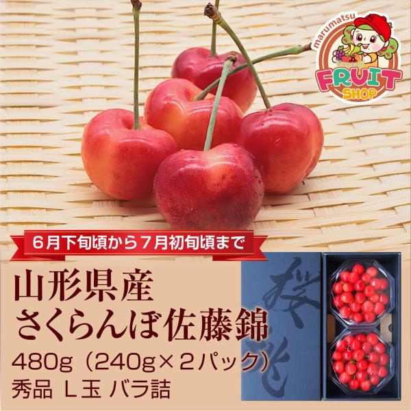 色着き、食べ応え共に満足いただける【秀品/Ｌ玉サイズ】をお届け♪日本一のさくらんぼの生産地山形県で採れたさくらんぼ佐藤錦。●産地：山形県●内容量：480g（240g×2P）/化粧箱入り●等級：秀品　Lサイズ●送料：無料(冷蔵便でのお届け)　...