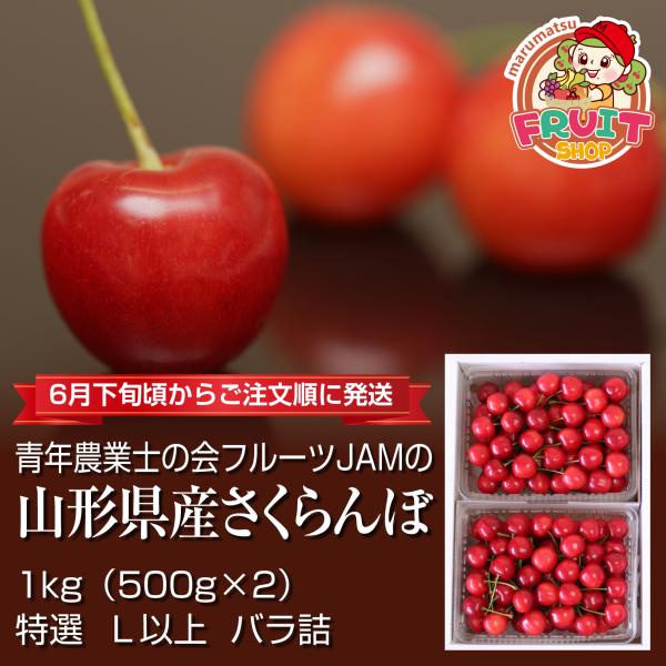 ●産地：山形県●品種：佐藤錦●形態：1kg(500g×2P)バラ詰●等級：特選品　L以上●送料：無料　(冷蔵便)　　　　沖縄・一部離島は受付休止中です。　　　　商品のお届け先が同じ場合は２箱まで同梱が可能です。　　　※３箱以上ご注文の場合は...