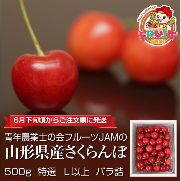 ●産地：山形県●品種：佐藤錦●形態：500g(500g×1P)バラ詰●等級：特選品　L以上●送料：無料(冷蔵便)　　　※沖縄・一部離島は受付休止中です。　　　※商品のお届け先が同じ場合は２箱まで同梱が可能です。　　　※３箱以上ご注文の場合は...