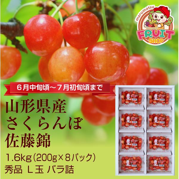 色着き、食べ応え共に満足いただける【秀品/Ｌ玉サイズ】をおすそ分けに便利な小分けパックに入れてお届け♪日本一のさくらんぼの生産地山形県で採れたさくらんぼ佐藤錦。●産地：山形県●内容量：1.6kg（200g×8）/化粧箱入り●等級：秀　L以上...