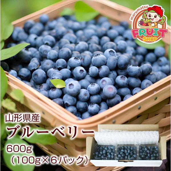 ◆月山などが連なる山々の麓で育った大粒のブルーベリーをほおばれば、プチっとした果実から酸味の中に爽やかな甘さののった果汁が弾けます！一粒食べればパクパクと止まらなくなるような味わいです。●産地：山形県●内容量：600g（100g×6P）/化...