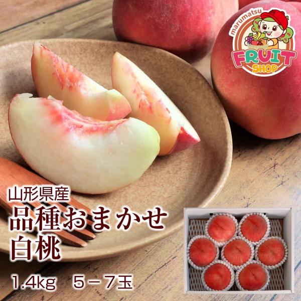 ◆その時期の旬の白桃をお届け！送料無料！●産地：山形県●品種：白桃（あかつき、川中島白桃、伊達白桃など）●内容量：1.4kg(5-7玉入り)　/　化粧箱入り●送料：無料（沖縄・一部離島は受付休止中です）●発送時期：8月上旬頃からご注文順に発...