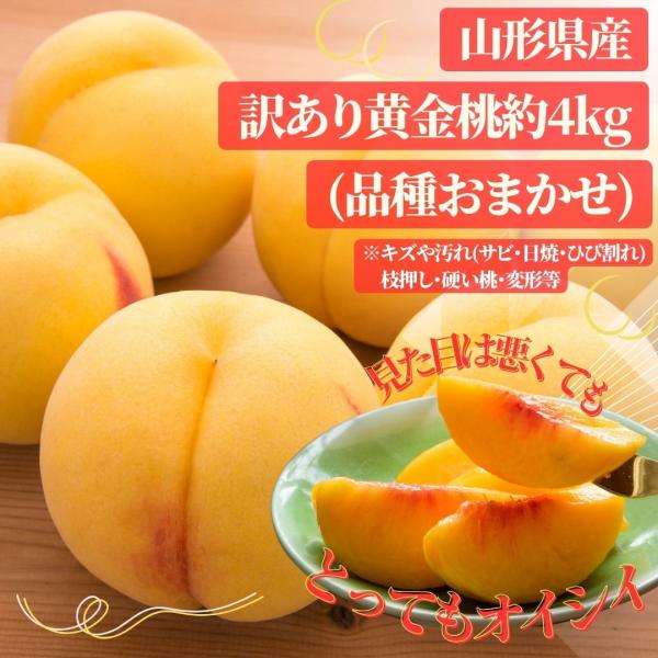 ◆訳あり！山形県産「黄金桃」サイズおませか約４kg　　送料無料！●産地：山形県●品種：黄金桃●内容量：約4kg　/　段ボール箱入り●送料：無料（沖縄・一部離島は受付休止中）●発送時期：8月下旬頃からご注文順に発送。(〜9月下旬頃まで)※2箱...