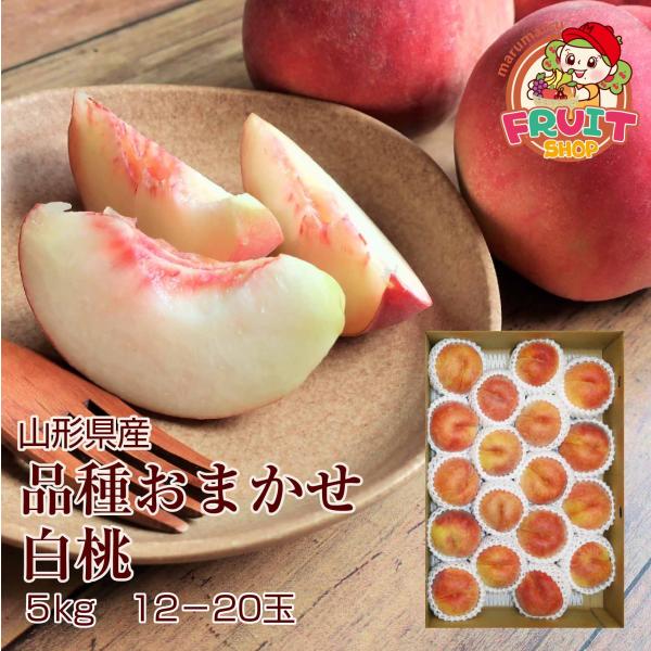 ◆その時期の旬の白桃をお届け！送料無料！●産地：山形県●品種：白桃（あかつき、川中島白桃、伊達白桃など）●内容量：5kg(12-20玉入り)　/　化粧箱入り●送料：無料（沖縄・一部離島は受付休止中です）●発送時期：8月下旬頃からご注文順に発...