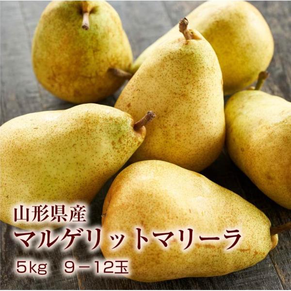 ◆いち早く洋梨を召し上がりたい方におススメ♪さっぱりとした甘みがクセになる大玉洋梨♪●産地：山形県●内容量：5kg（9-12玉）/化粧箱入り●送料：無料（沖縄・一部離島は受付不可）●発送時期：9月下旬頃からご注文順に発送いたします。※２箱ま...