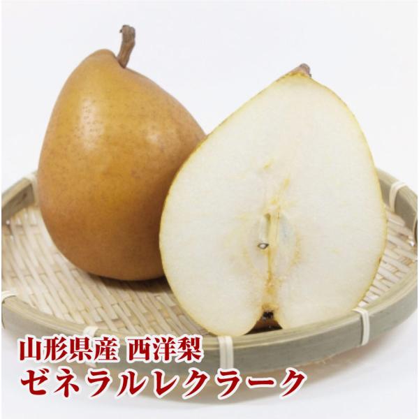 ◆「ゼネラルレクラーク」は、とにかく西洋梨の中でも特大サイズで食べ応え抜群！見た目は黄色でさび状の点がポツポツ付いていて美しい外見ではないのですが、味はとても上品でアイスクリームのような甘さに、洋梨特有の濃厚な甘い香りです。●産地：山形県●...