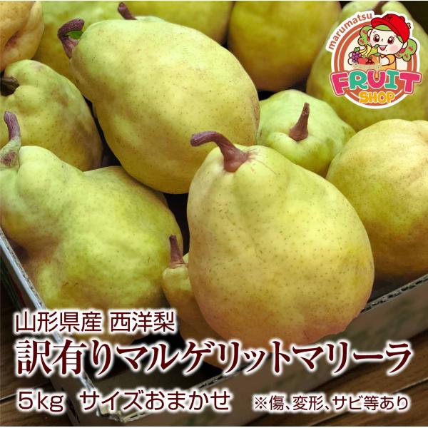 ◆“訳あり品”のため見た目はイマイチですが、さっぱりとした甘みが人気の“マルゲリットマリーラ”をお買得価格でお届けします！ご自宅用におススメです！●産地：山形県●内容量：約5kg（サイズおまかせ）/ 段ボール箱入り●送料：無料（沖縄・一部離...
