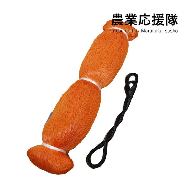 雀などの小型鳥類用の鳥よけネット防鳥網,鳥よけネット,ひも,ロープ,害獣,農業,田畑,ベランダ,150坪,アウトレット,問屋,卸売り,セット,まとめ買い,まとめ売り,お得,激安,特価