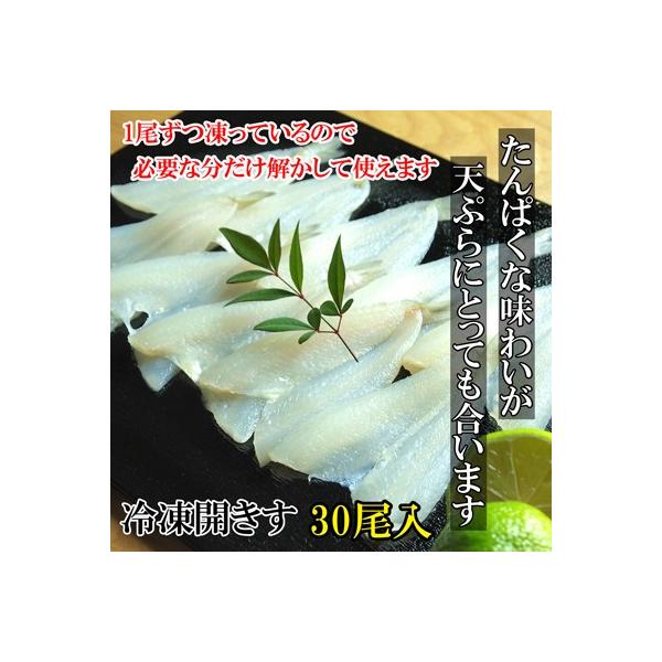 冷凍キス開き 30匹　【きす】【キス開き】【キス】【鱚】【冷凍きす】【天ぷら】532P17Sep16