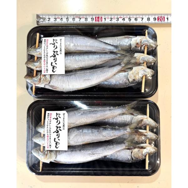 【発売日：2025年10月25日】BS朝日の美食探訪で紹介された土井善晴先生絶賛の「ぷりぷりいわし」です！脂乗り抜群の千葉県産の真いわしのみを使用し、丁寧に干しました。身はふっくらジューシー！豊洲市場塩干セリ場でも定番の商品となっております...