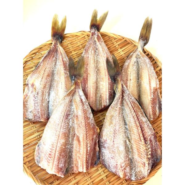 脂ののった美味しい「しまほっけ」です。訳ありですが美味しさ満点！大根おろし、レモンを添えていただきますと、より一層おいしく召し上がれます。☆訳あり理由は大きさ、形、重量の不揃い、割れ、欠け等によるものです。☆加熱してからお召し上がりください...