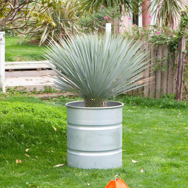 ワイルドで個性豊かな植物が植わっていても引けを取らない、重厚な存在感を放つBOTANYの鉢カバー。 タフで無骨であるが故、時折、植物より目立ってしまう。そんな太々しさもありながら、 無駄な装飾を削ぎ落としたシンプルな形状は、合わせた植物の樹...