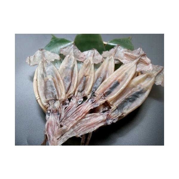 ・原材料名：するめいか(富山湾産)、食塩・内容量：100g・商品形態：冷凍・賞味期限：2ヵ月・保存方法：要冷凍(-18℃以下)・製造者：有限会社浜浦水産　　　　〒937-0865　　　　富山県魚津市上口1-1-26　　　　TEL 0765-...