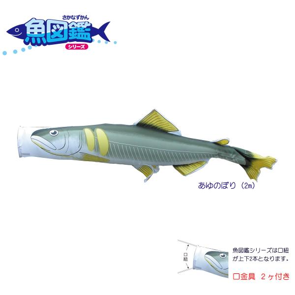 ■商品名：のぼり水族館 あゆのぼり 2m 魚図鑑シリーズ■内容物：口金具付き※口金具の個数はサイズや色によって異なります。■生地：ポリエステルドビー生地（撥水加工なし）