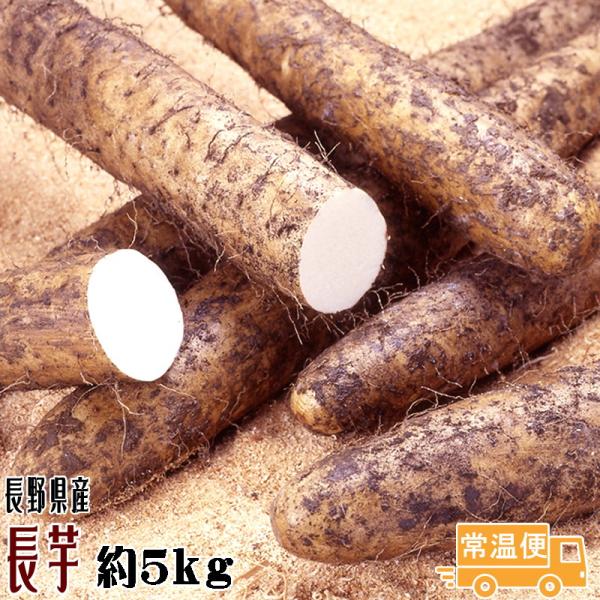 ■発送予定：〜9月下旬頃【配送】ヤマト・ゆうパック（常温便）・送料無料【荷姿】ダンボール箱・ぬか詰め【内容量】約5kg ４本〜５程度入り（長野県）★長野県松本平は、長野県でも有名な長芋の産地。松本盆地南西部台地上にあり、水はけのよい火山灰土...