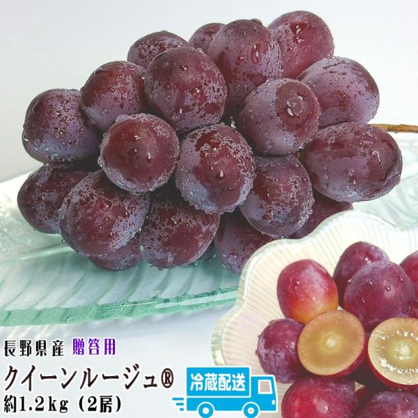 ギフト ※日付指定不可※■発送予定：9月中下旬頃〜９月下旬頃【配送】ヤマトまたは ゆうパック 冷蔵便・送料無料【荷姿】ギフト用ボックス（簡易包装付）【内容量】長野県産　クイーンルージュ（R）　約1.2kg程度　（2房）■クイーンルージュ（R...