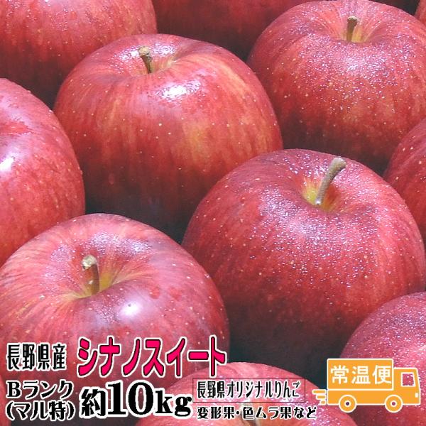 ■発送予定：10月下旬頃〜11月中旬頃【配送】常温便・送料無料【荷姿】ダンボール箱（銀箱）・モールドパック詰【内容量】約10kg　24玉〜36玉入り（長野産）★Aランク（贈答用）とCランク（家庭用）の間の商品。 変形果・色が薄い他、小キズが...
