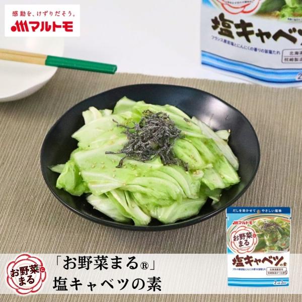 【商品特長】キャベツを切って漬け込むだけ！フランス産岩塩を使用。にんにくの香りの旨塩たれで美味しさアップ！●だしを効かせることで塩分を抑えても野菜をおいしく沢山食べることができます。●北海道産昆布、枕崎製造かつお節こだわりの国産原料を使用！...