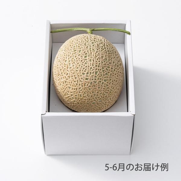 【発売日：2025年05月25日】こちらの商品は年内発送の受付を終了しております来年1/5から随時発送となりますホシフルーツ おまかせ旬のフルーツＢＯＸ Ａ のし対応可食べ頃フルーツを目利きが厳選。青果市場40年以上通い続けるプロが、旬のフ...