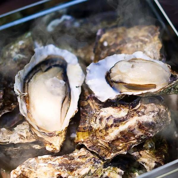【発売日：2025年06月01日】広島牡蠣のカンカン焼き のし対応可広島牡蠣の身太りが最も良くなる時期に水揚げされた殻付牡蠣を鮮度・風味そのままに殻ごと冷凍し、カンカン焼きのセットにしました。軍手とナイフも付いており、カセットコンロでもアウ...