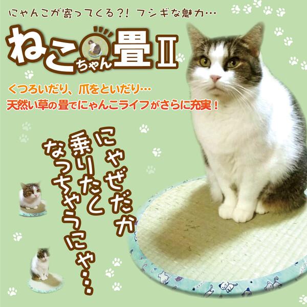 【発売日：2024年08月24日】巷で話題のねこホイホイ い草 ネコ 猫用 クッション マット ねこちゃん畳2 直径約47×H1.2cmくつろいだり、爪をといだり・・・天然のい草の畳でにゃんこライフがさらに充実！なぜだが乗りたくなっちゃう、...
