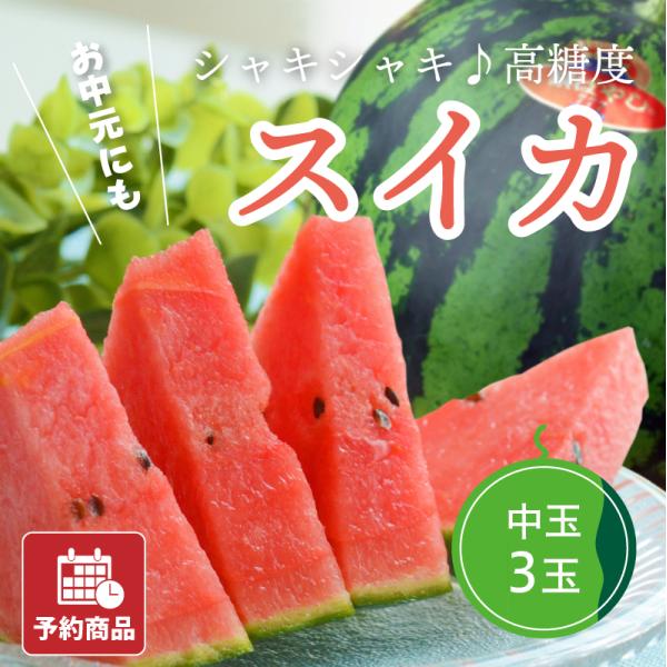 ＼予約開始しました／とっても甘〜いすいか夏の風物詩！とっても甘い中玉すいかです。※出荷開始まで代引き不可です。※品種の育成状況により、入荷及び出荷開始時期は前後いたします。お届け目安：7月中旬〜8月中旬頃まで内容：中玉3玉保証について：お客...